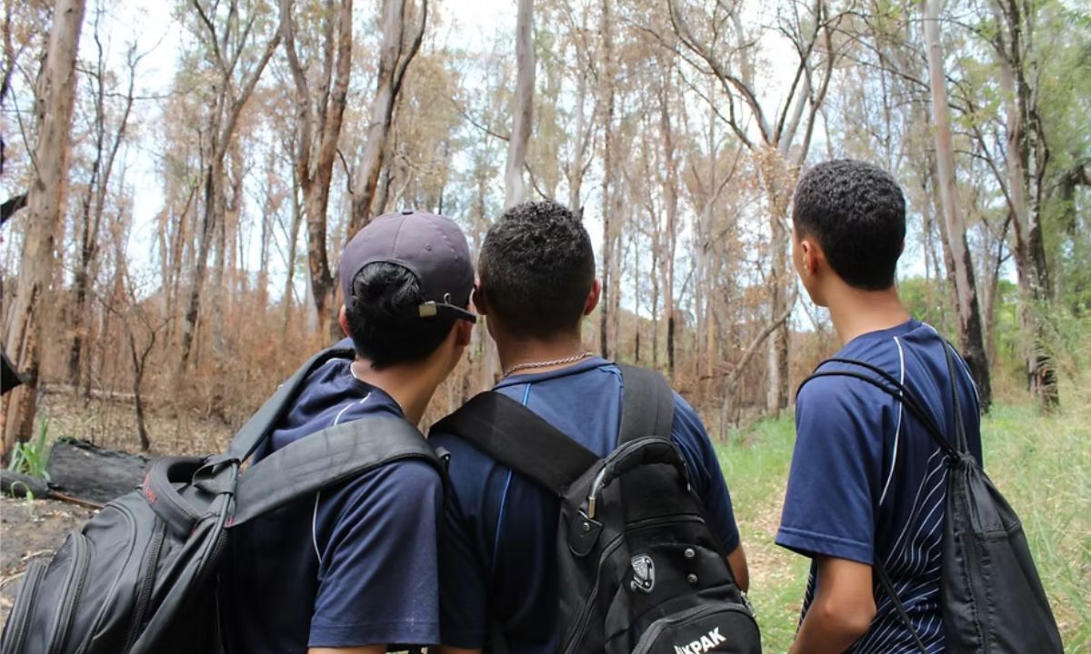 EcoParque: Por um futuro, BH-TEC apresenta trilhas para estudantes